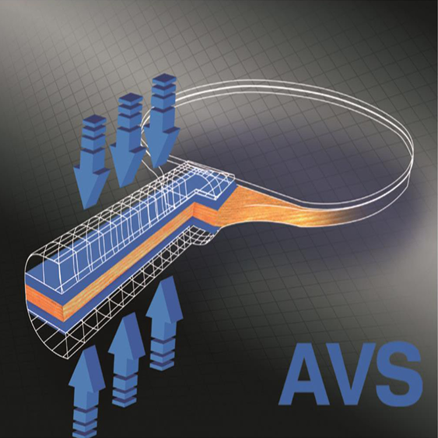 راکت پینگ پنگ دونیک Donic Legends Premium Gold | اورجینال