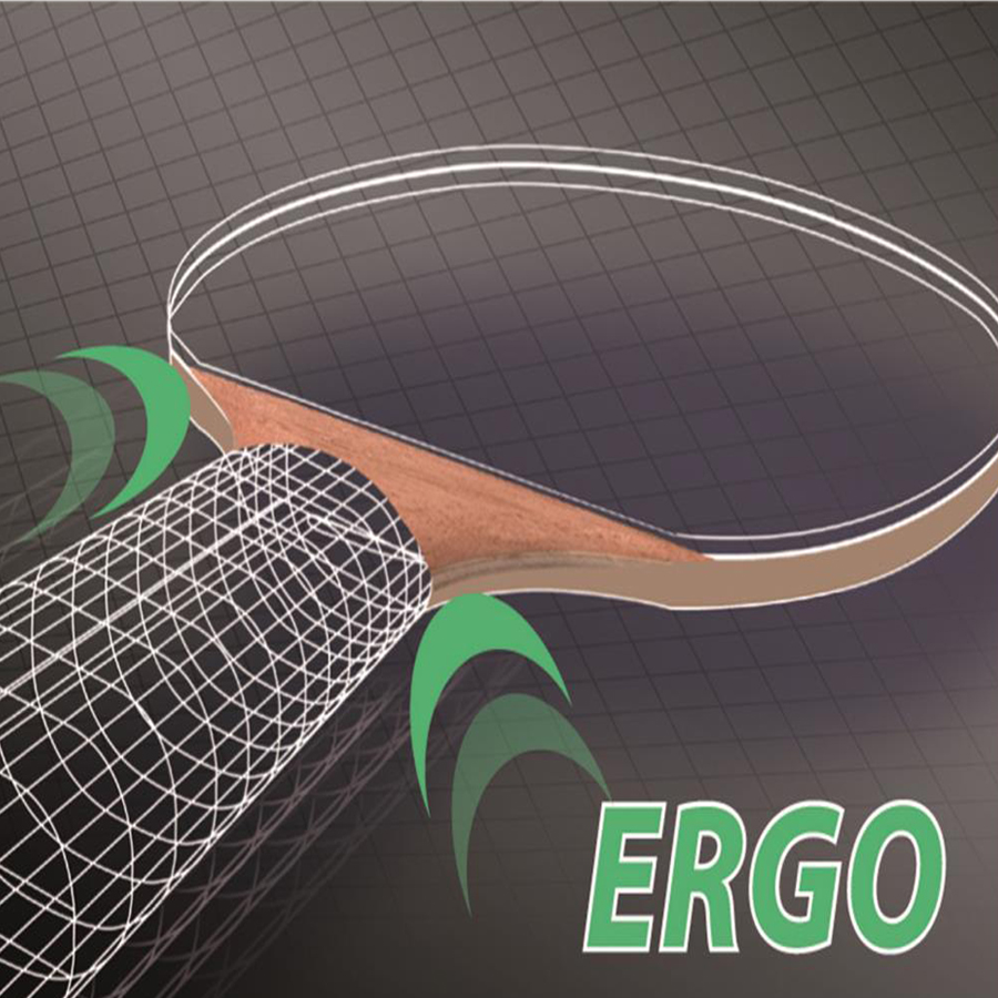 راکت پینگ پنگ دونیک Donic Legends Premium Gold | اورجینال